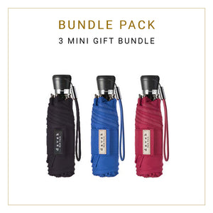 3 Mini Gift Bundle